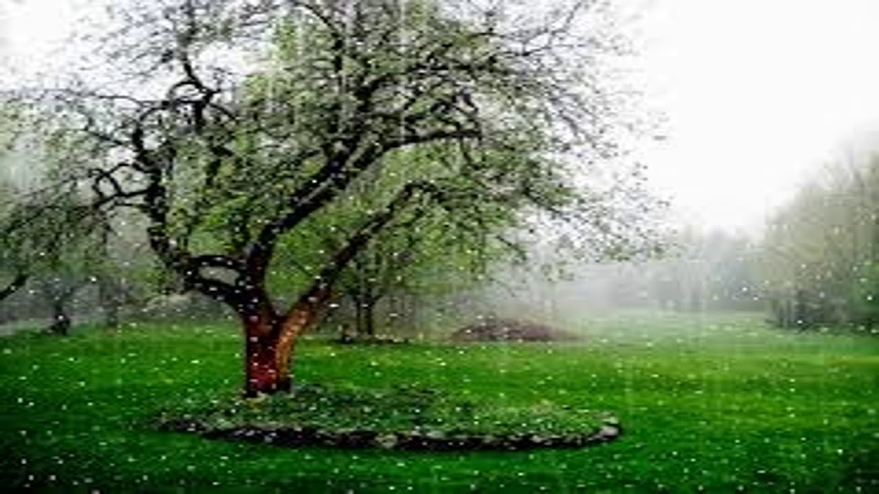 Heavy rainstorm and rain nature sounds for relaxation, sleeping - YouTube