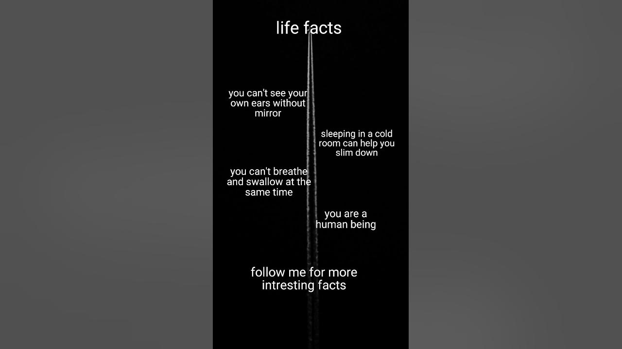 Best Facts facts YouTube best-facts-facts-youtube