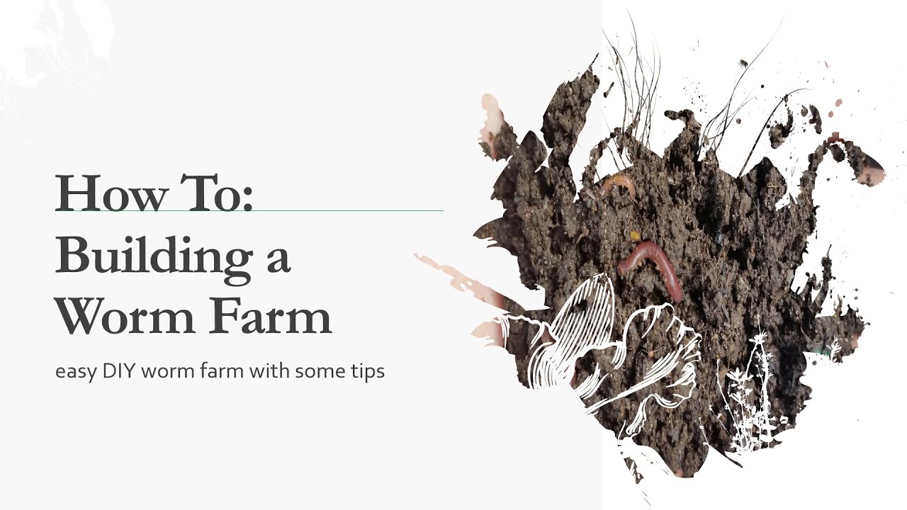 How to Make a Worm Farm and Some Tips - YouTube