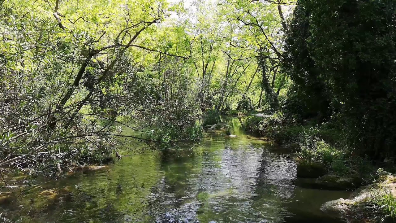 Relaxed nature sounds, sleep, yoga, meditation, relaxation, nature's ...