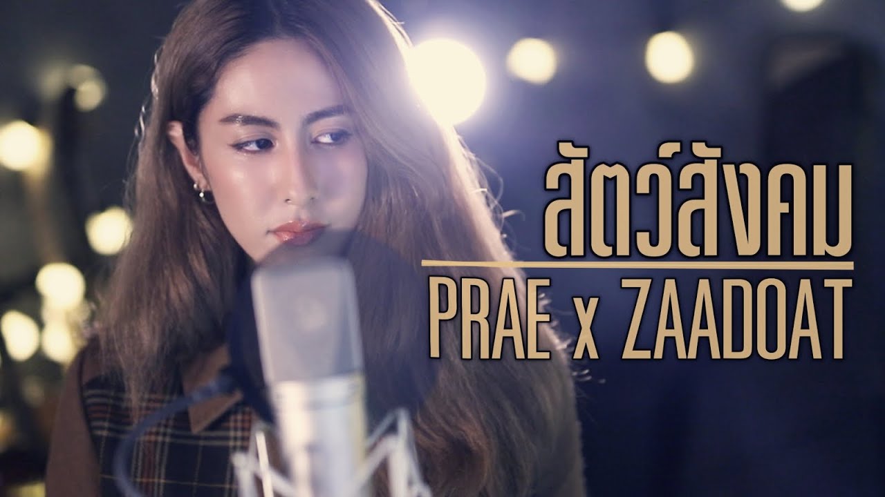 สัตว์สังคม - เมืองแมน Prae x ZaadOat Cover Chords - Chordify
