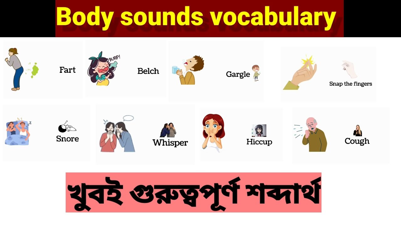 Body sounds related vocabulary. @MamunsadvanceEnglish - YouTube