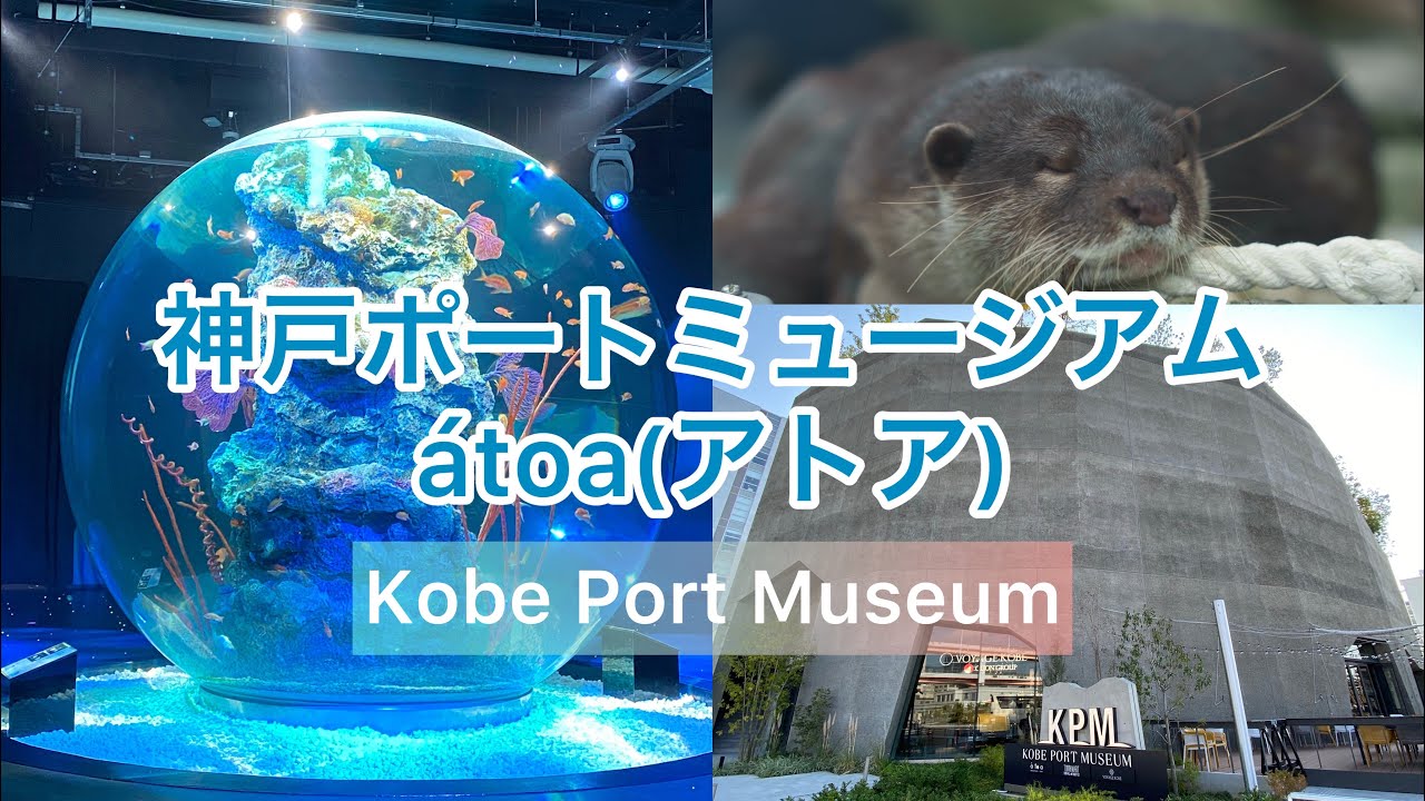 神戸ポートミュージアム atoa アトア 水族館 KPM Kobe Port Museum - YouTube