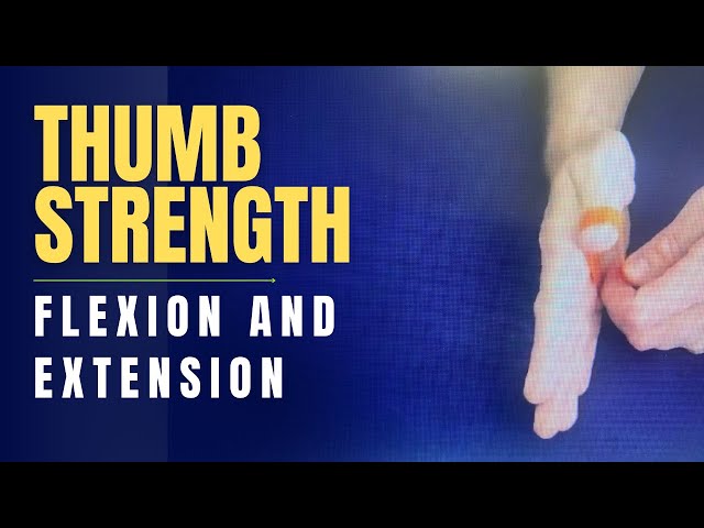 Thumb Abduction And Extension Rationale For Exercise For Thumb CMC