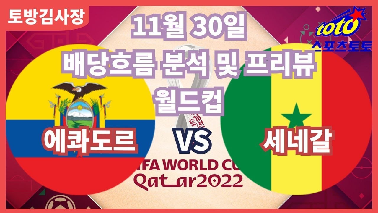 프로토분석 축구승무패 11월30일 프로토98회차 월드컵 주요경기 프리뷰 에콰도르 세네갈 Youtube