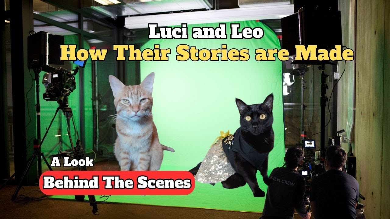 Behind The Scenes With Luci and Leo - YouTube