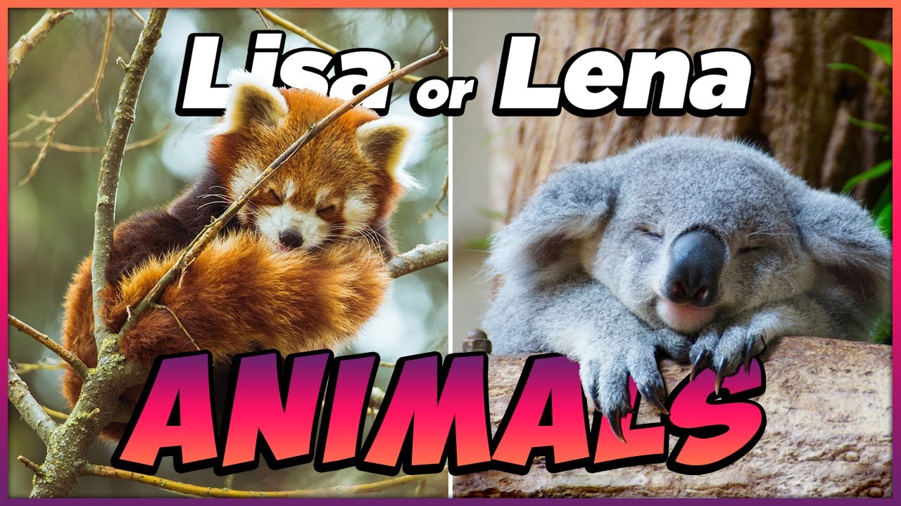 Lisa or Lena - Animals - YouTube
