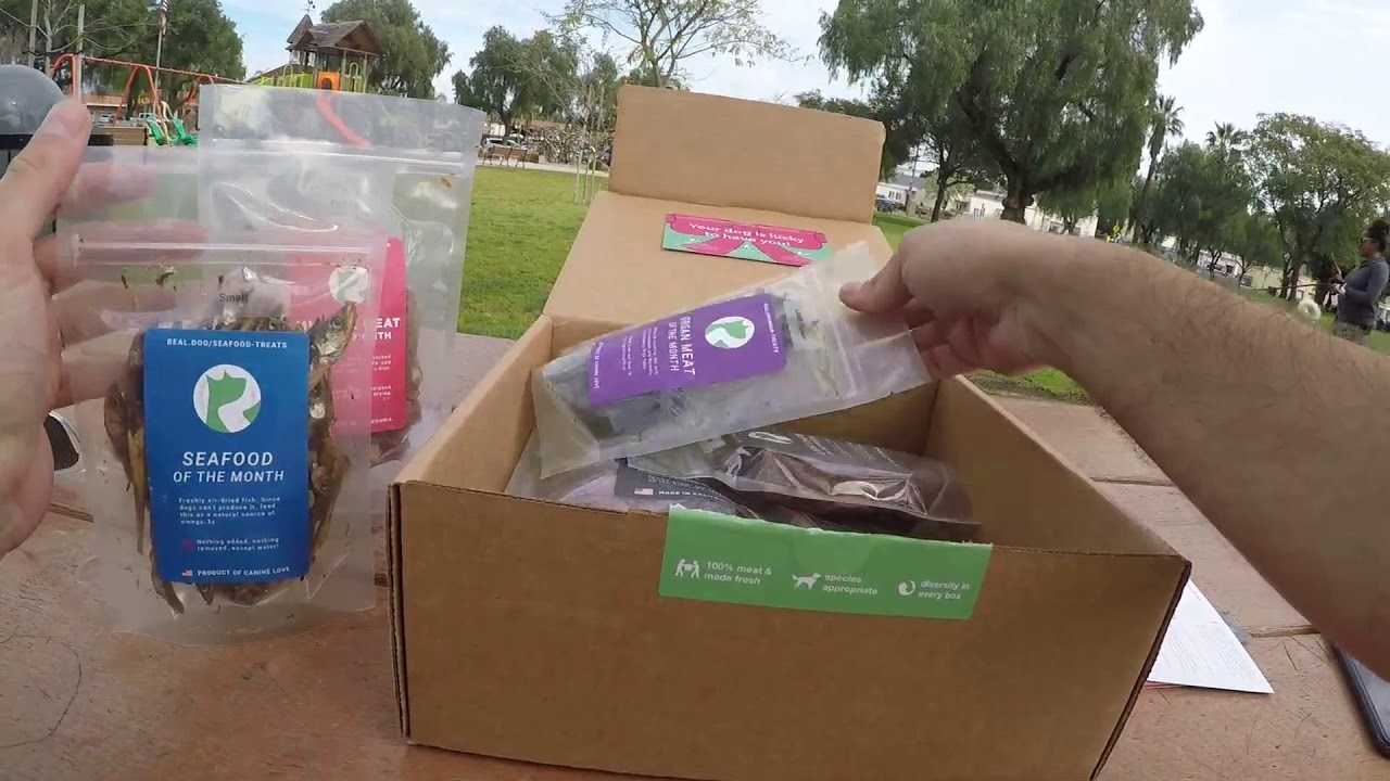 Unboxing The Latest Real Dog Box (Feb 24th - Mar 24th) - YouTube