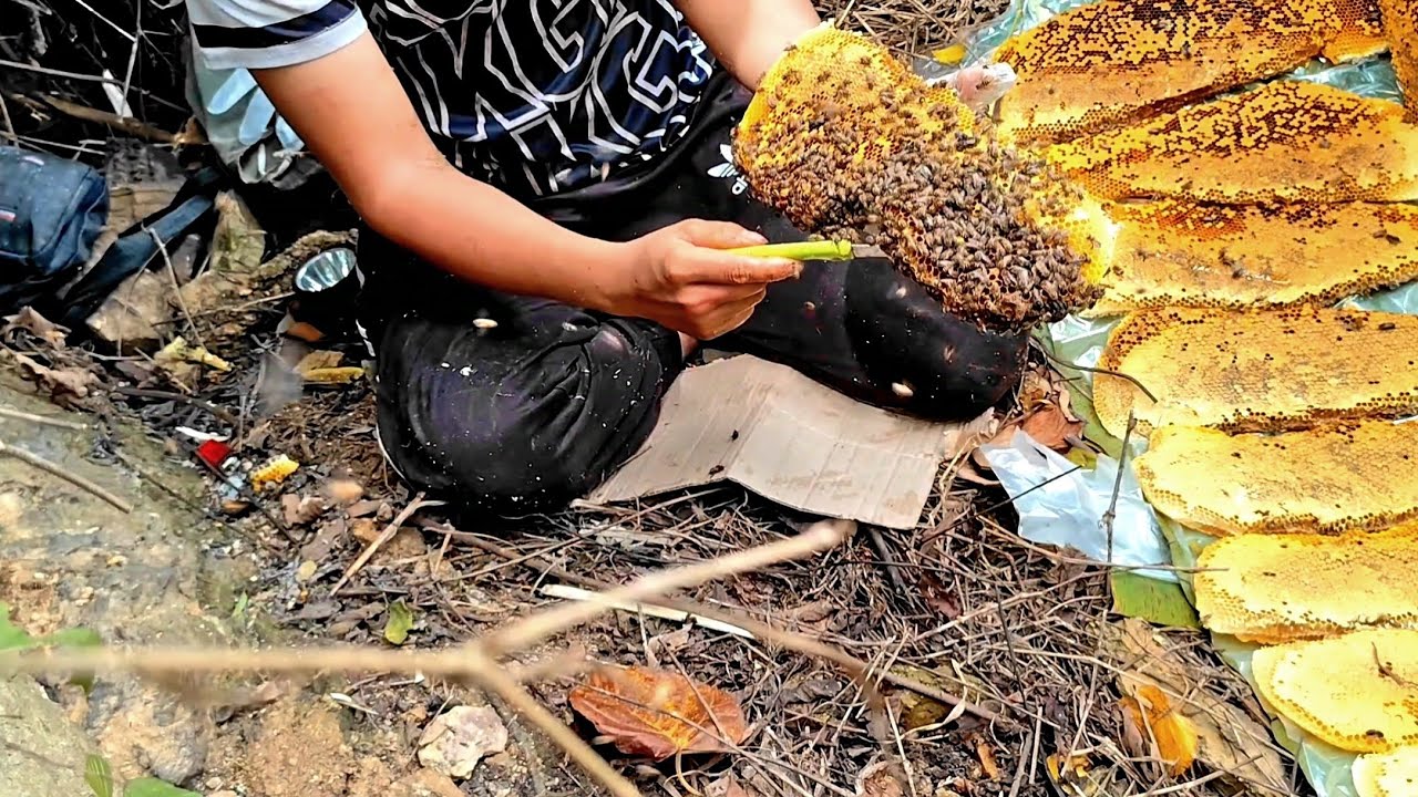 Exploiting natural honey bees and raising them in special artificial ...