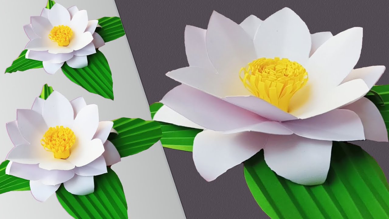 Lotus Flower Making | White Lotus Flower | DIY White Lotus - YouTube