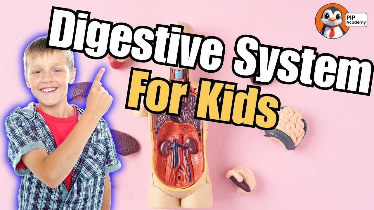 The Amazing Digestive System Explained for Kids! - YouTube