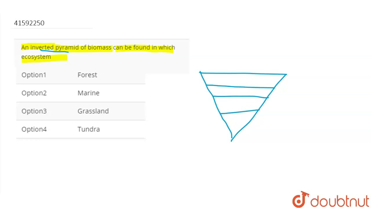 Biomass Pyramid Tundra