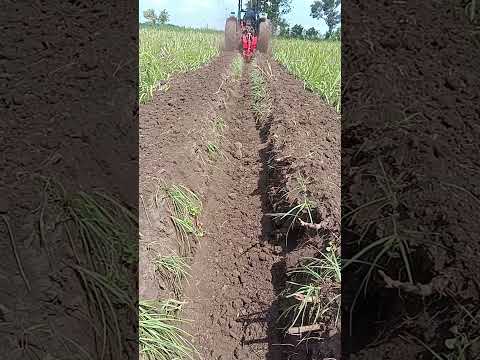 LANDINI IMPLEMEN PEMBUATAN GOT PARIT - YouTube