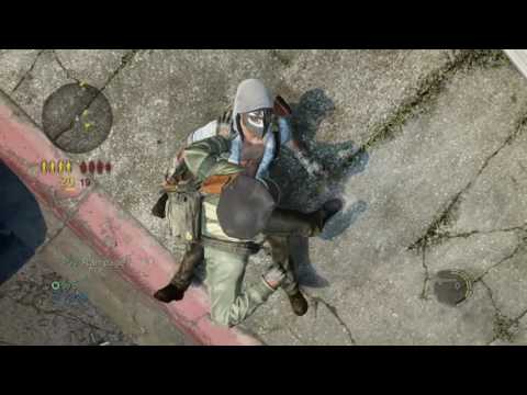 Variable rifle montage