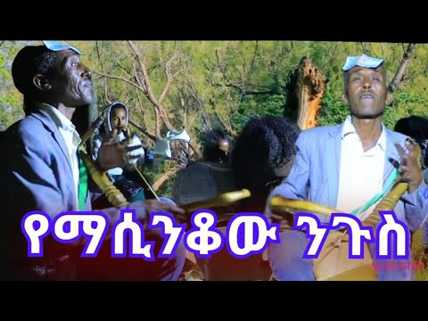 🔴 አስደናቂ ዜማ | raya ameharic music | wolo music - YouTube