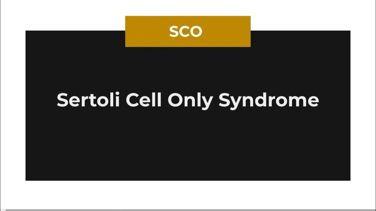 Sertoli cell only syndrome - YouTube