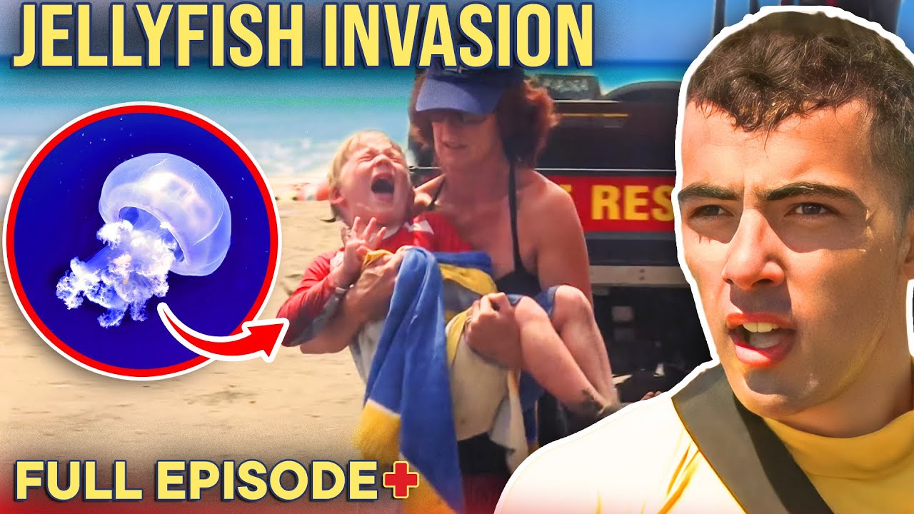 Jellyfish Invasion Causes Beach Mayhem! | Piha Rescue - S10 E7 (FULL ...