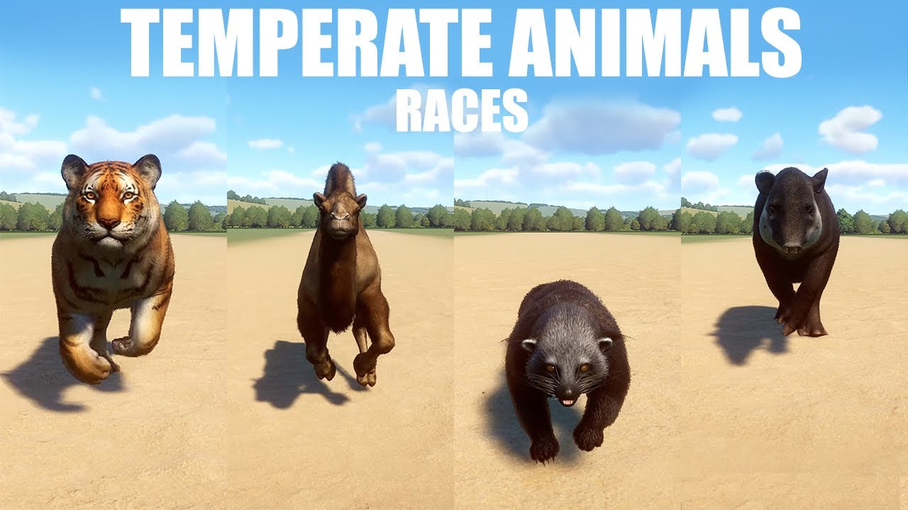 Temperate Animals races in Planet Zoo included Camel, Tapir Tiger ...