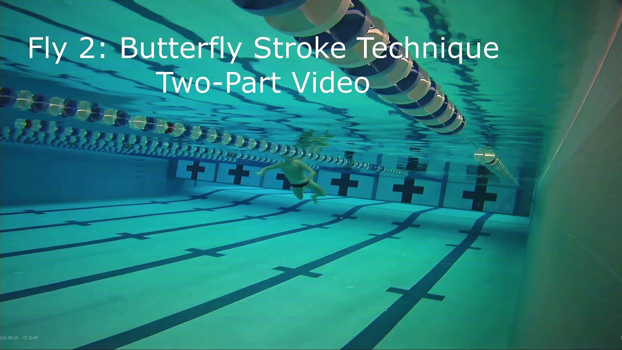 Fly 2: Butterfly Stroke Technique Two-Part Video - YouTube