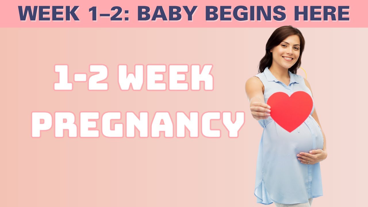 Week 1–2 of Pregnancy | Week by Week Pregnancy - YouTube