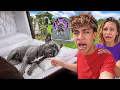 WE LOST GUCCI?! 😭💔 Ferran's Biggest Heartbreak! (The Royalty Family)