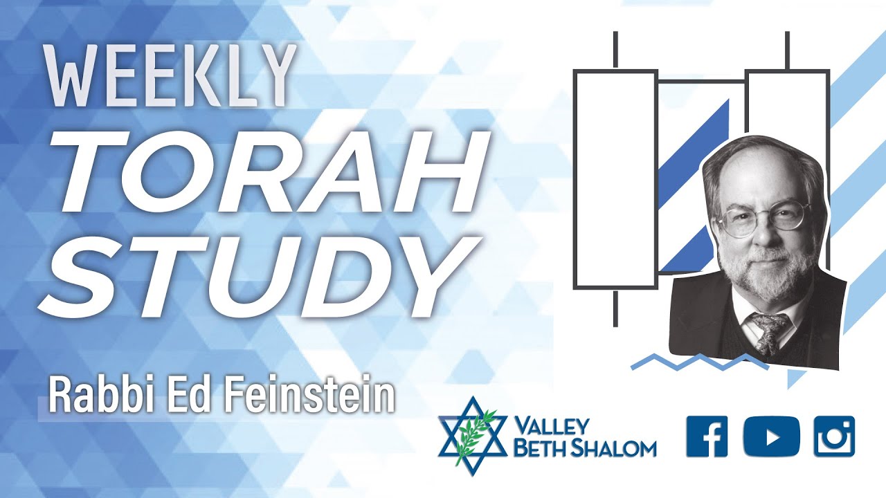 Weekly Torah Study with Rabbi Ed Feinstein - 03/14/25 - YouTube