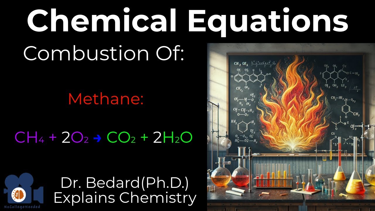 Chemical Equations | Explained by a Ph.D. Chemist #chemistry #science # ...