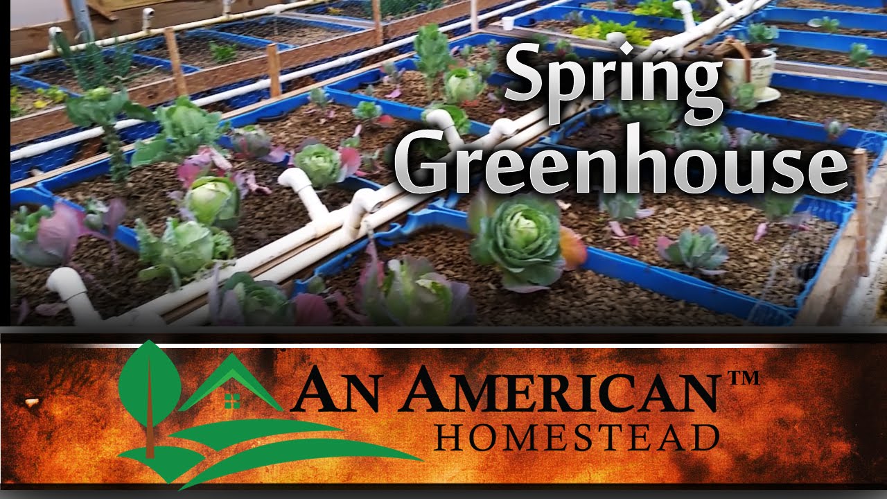 Spring Greenhouse - An American Homestead - YouTube