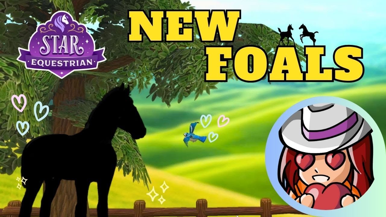 🌟 Welcoming Two New Foals | Star Equestrian Breeding 🐴 - YouTube