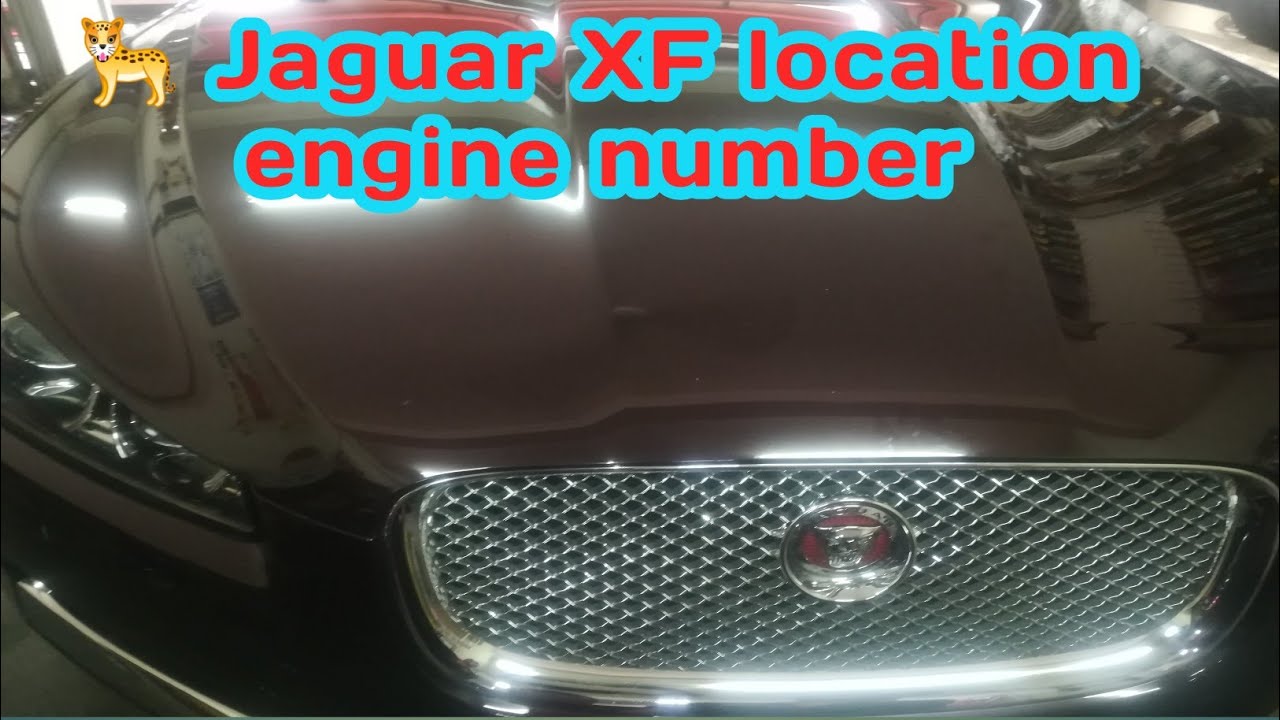 How To Find Engine Number Jaguar XF YouTube how-to-find-engine-number-jaguar-xf-youtube