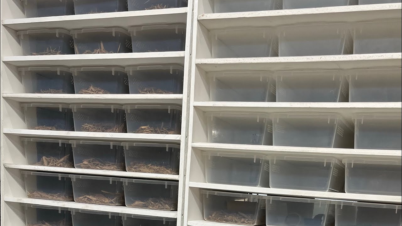 Baby rack and newborn setup - YouTube