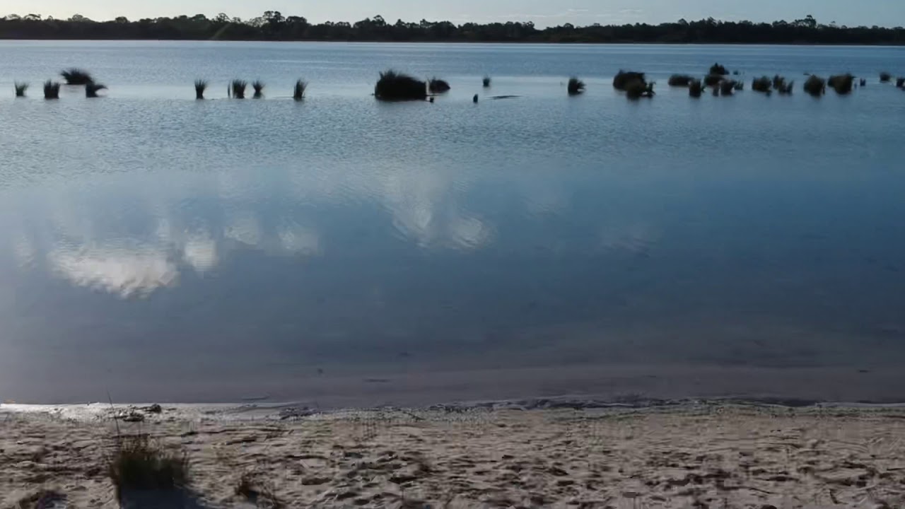 Gnangara Lake 11-8-18 Footage take by DJI Spark - YouTube
