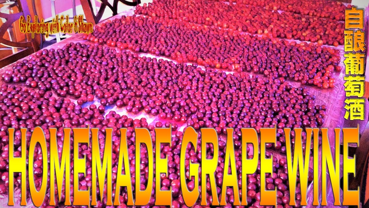 Homemade Grape Wine |How to make Grape Wine |自酿葡萄酒 - YouTube