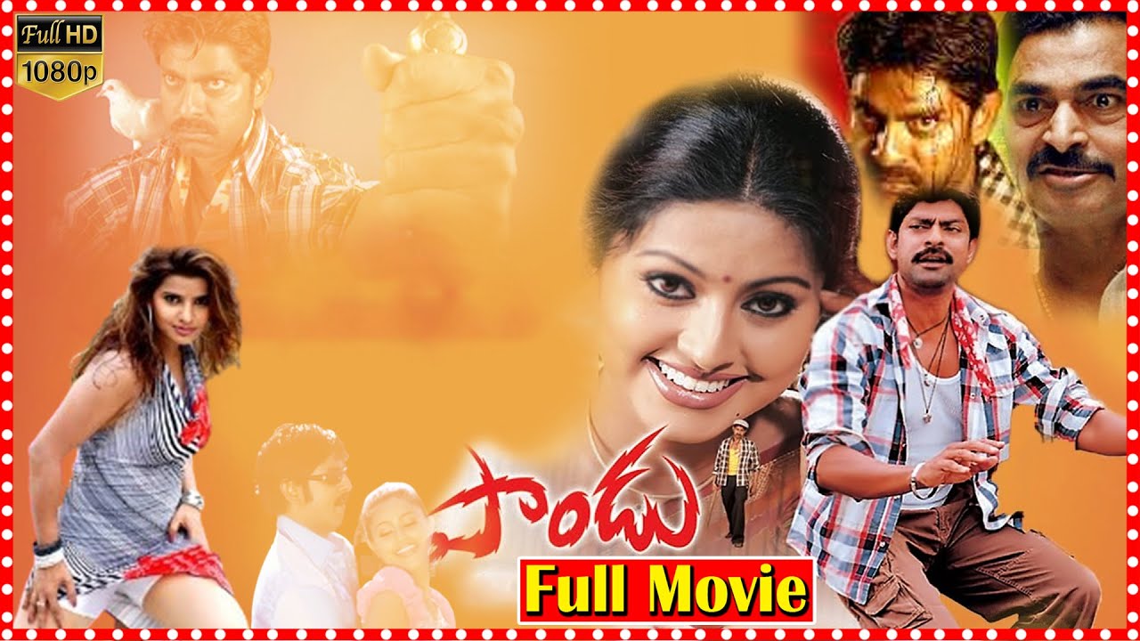 Pandu Full Length HD Telugu Movie | Jagapathi Babu | Sneha | Madhu ...