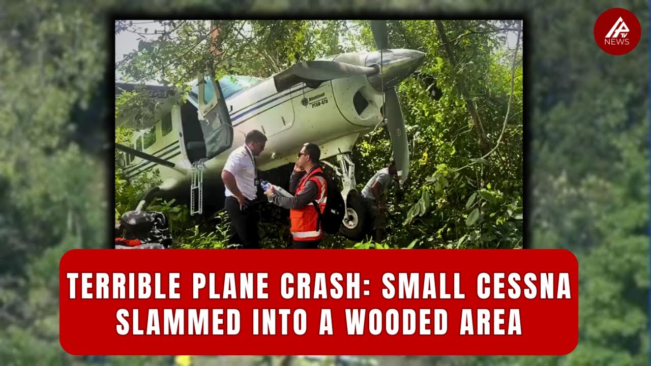 Small Cessna plane slammed into wooded area attempting takeoff from ...