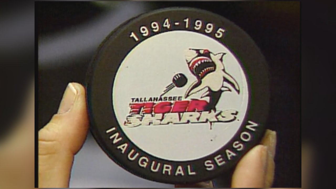 Remembering the Tallahassee Tiger Sharks - YouTube