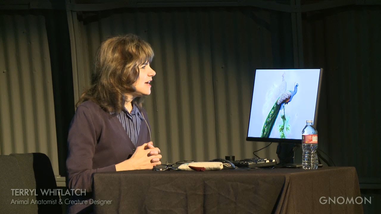 Animal Anatomy & Creature Design with Terryl Whitlatch - YouTube