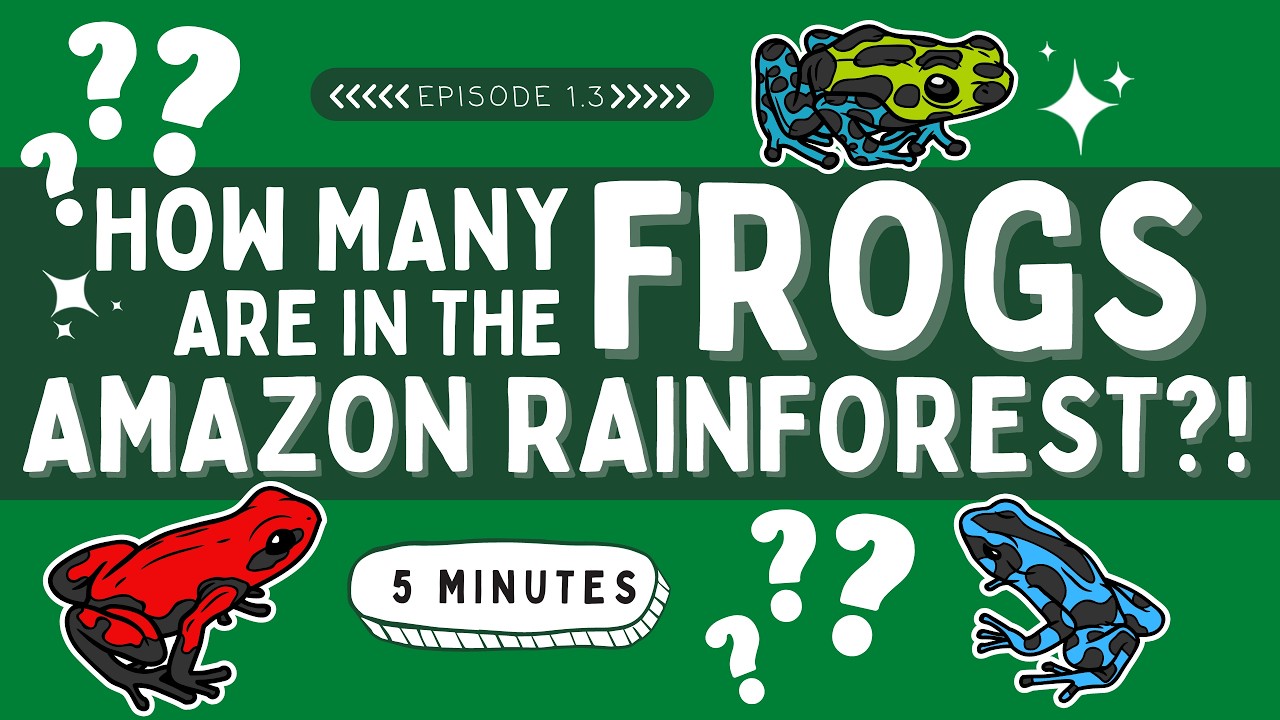 How Many Frogs Are in the Amazon Rainforest?! | Animal Facts for Kids ...