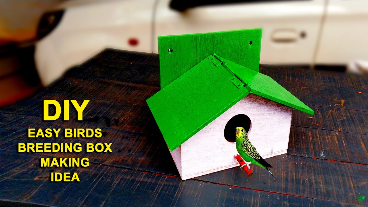 How To Make a Breeding Cage | Easy Way to Make Breeding Box at Home ...