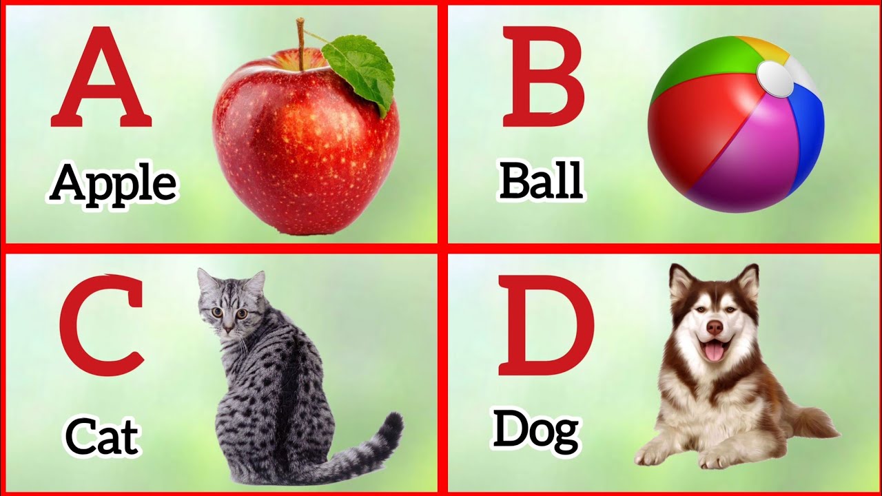 A for apple | abcd | a for apple b for ball ...