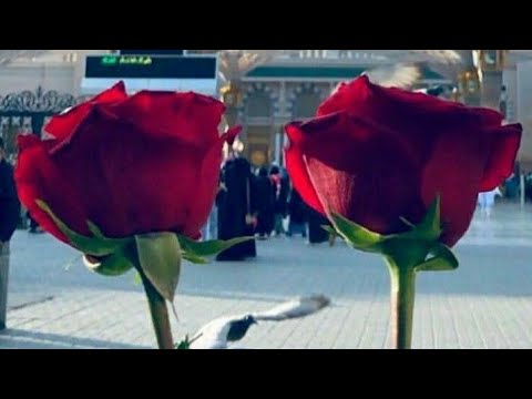 Sedat Uçan & Açtım Ellerim Semaya Muhteşem İlahi🌷✨