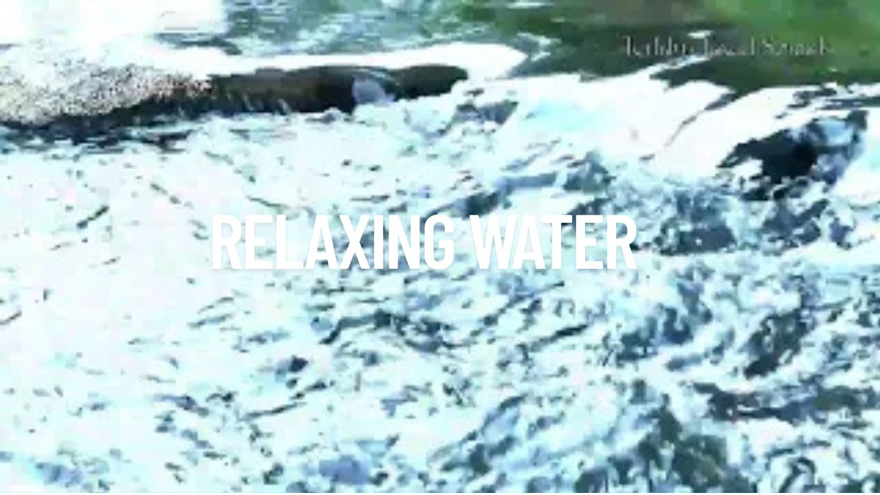 STREAM WATER TRICKLING WITH BIRD SINGING FOR RELAXING - YouTube