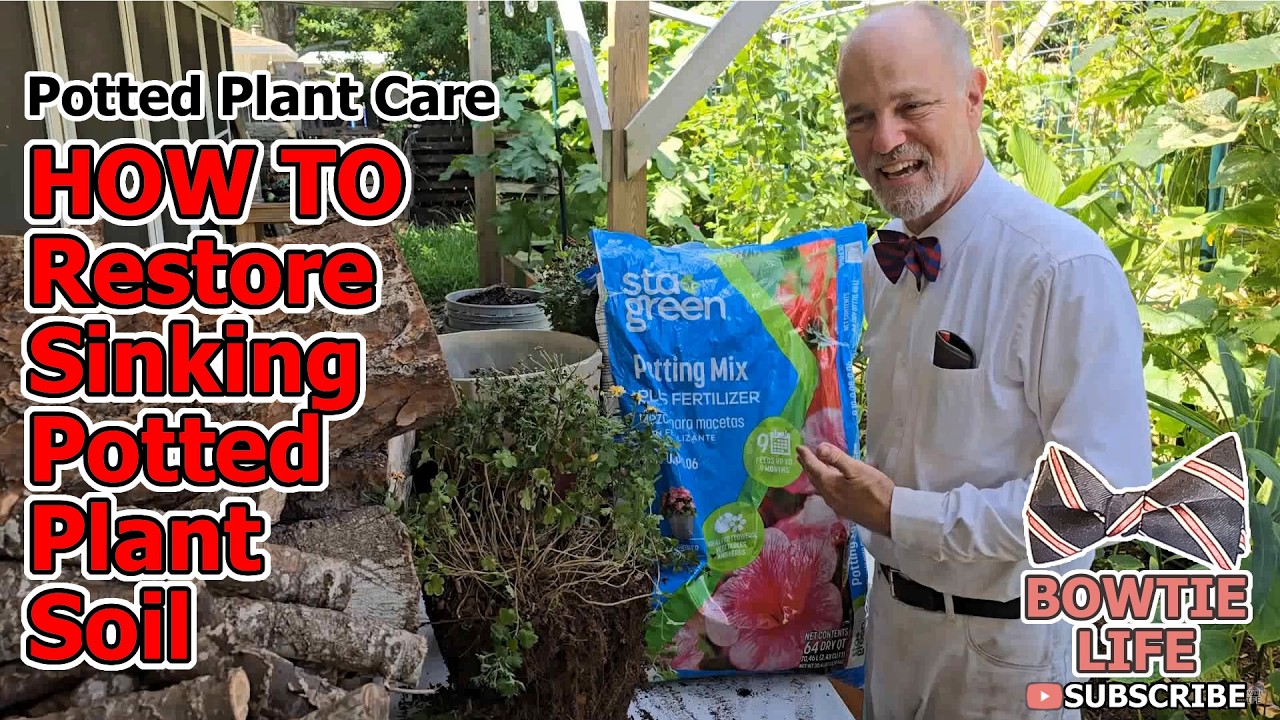 HOW TO Fix Sinking Soil Levels in Pots - YouTube