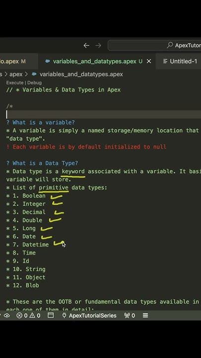 What Is A Data Type In Apex Salesforceapex Coding Salesforce Programming