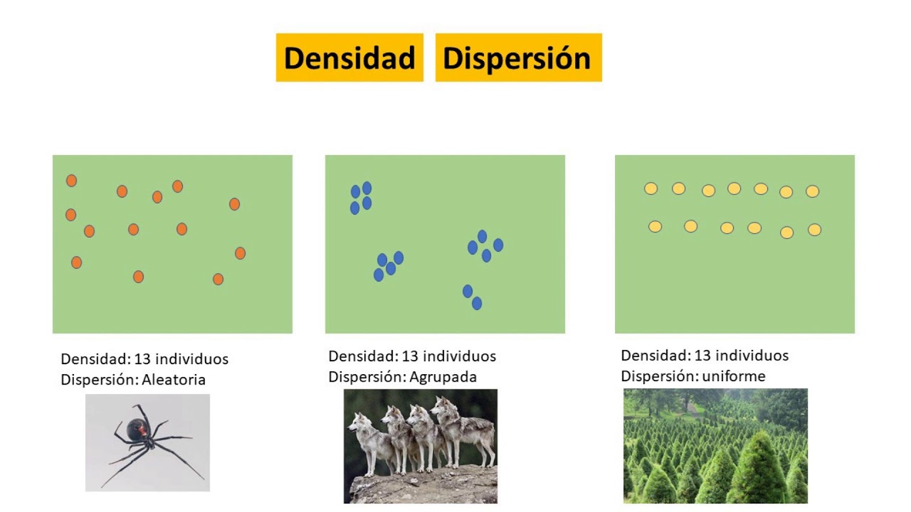Densidad y dispersión - YouTube