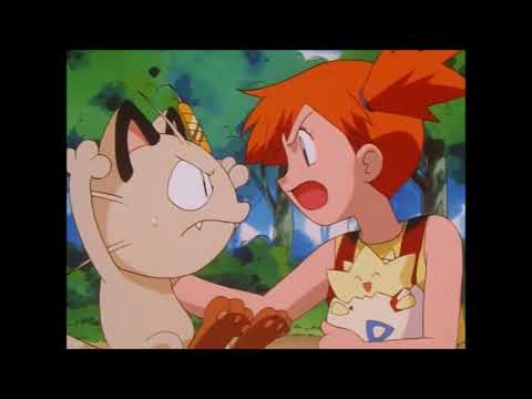 A Meowth And Misty Shipping Moment