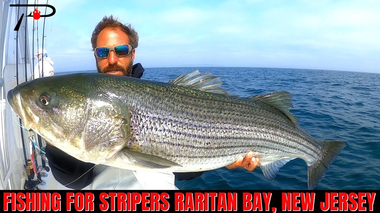 Spring Striper Fishing Raritan Bay - YouTube