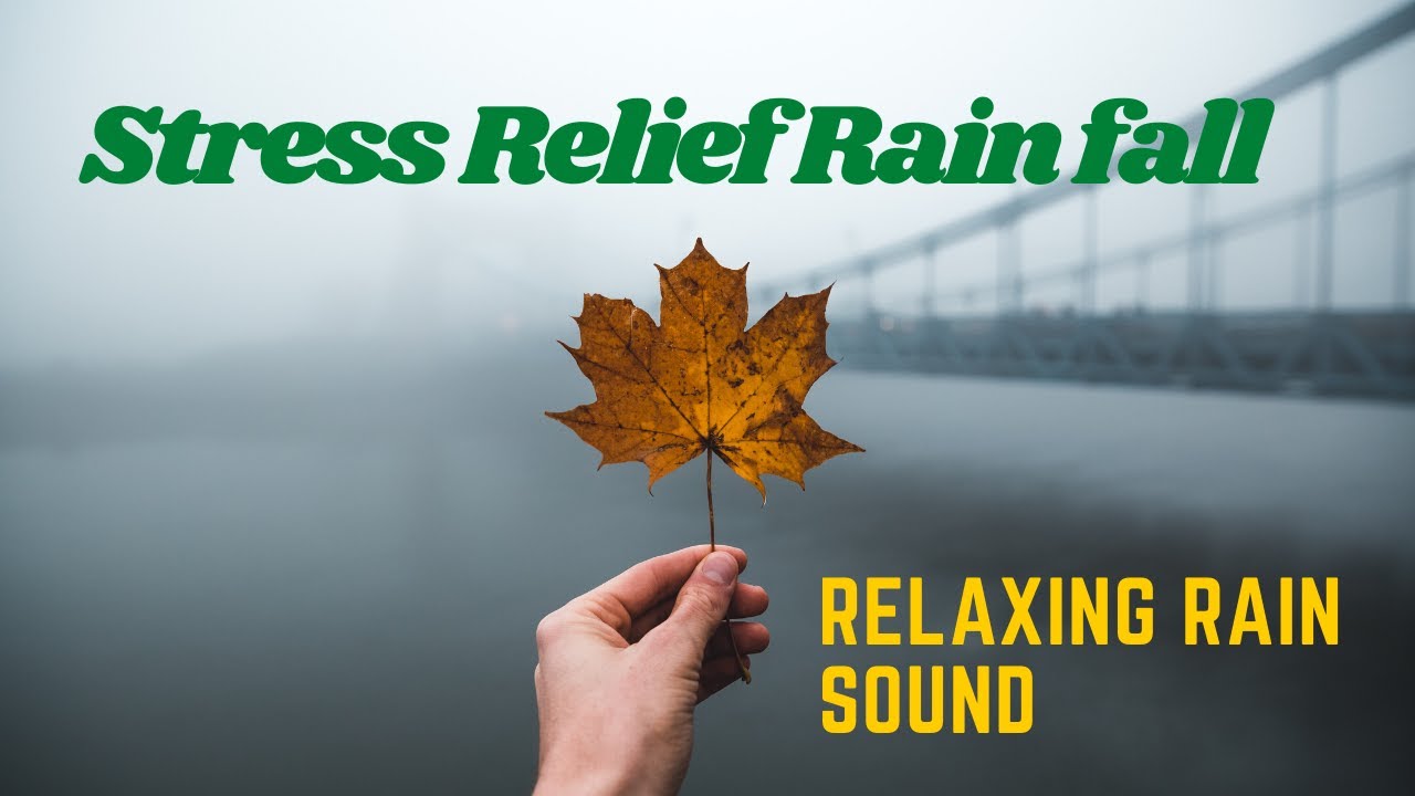 Stress Relief Rainfall | Relaxing Rain Sounds - YouTube