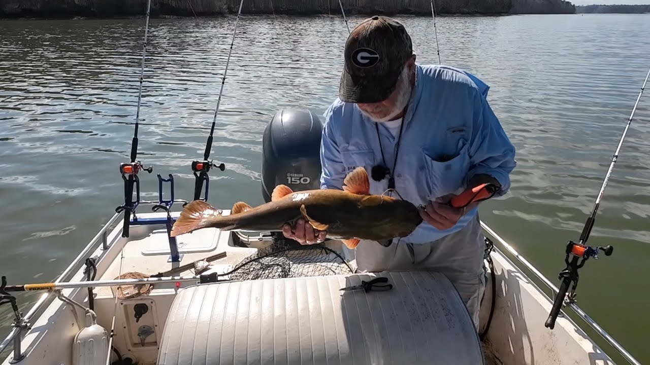 February West Point Lake Catfishing On A Very Warm Winter Day! # ...