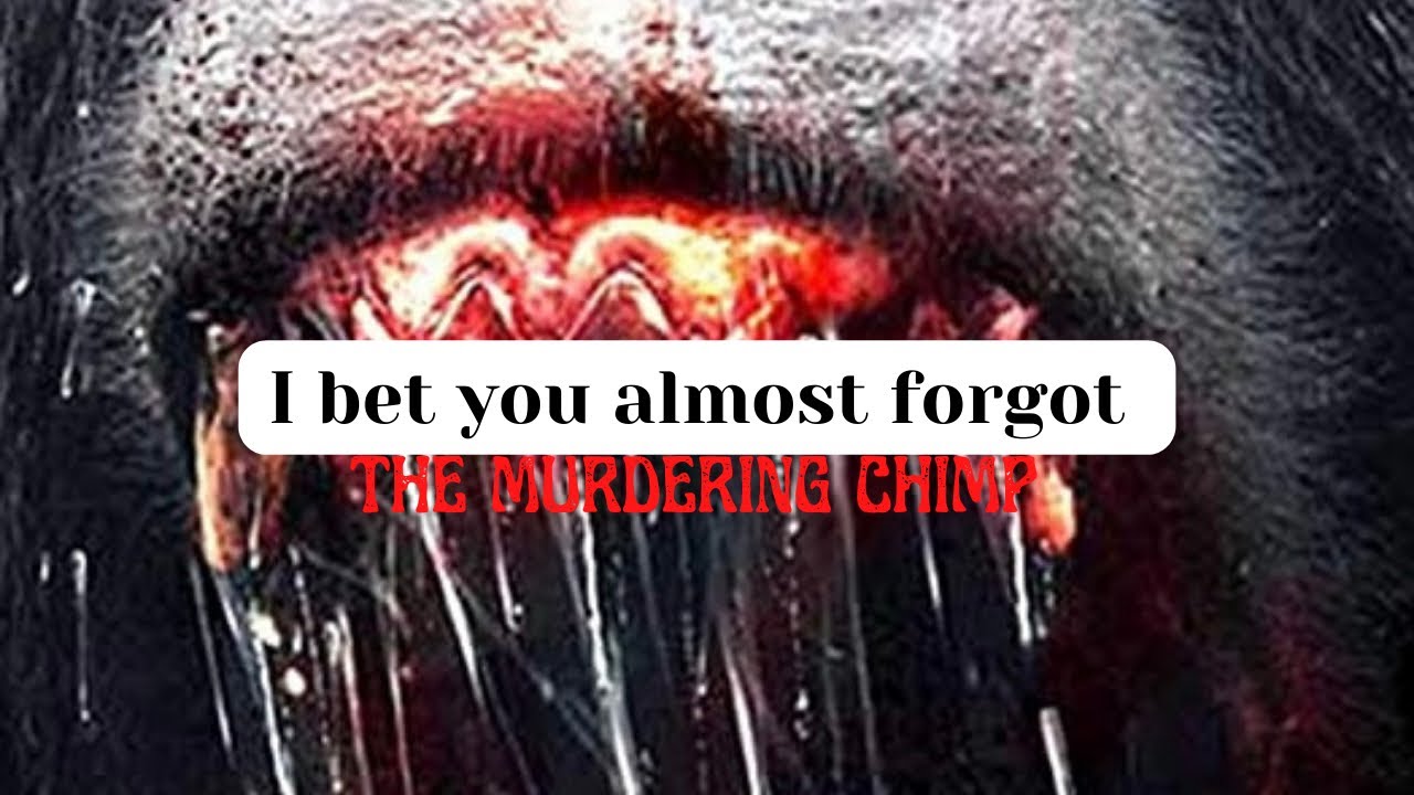 Travis The Murdering Chimp - YouTube